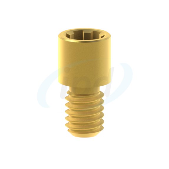Neodent® GM Micro Abutment compatible TIN-Coated Titanium Abutment Scr
